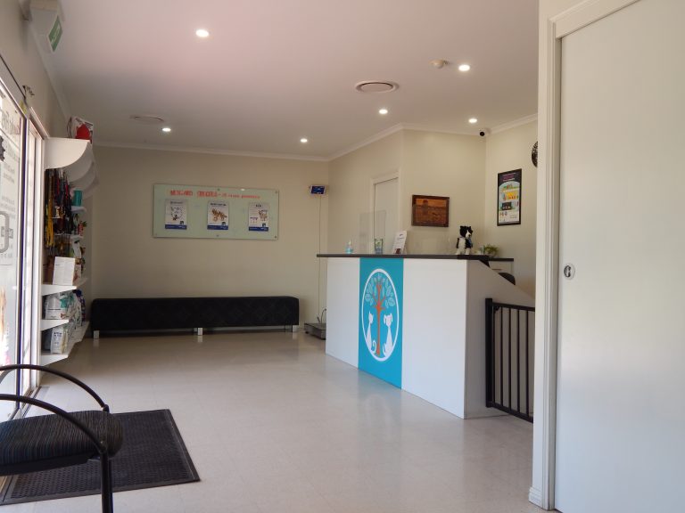 About us – frenchs forest vets