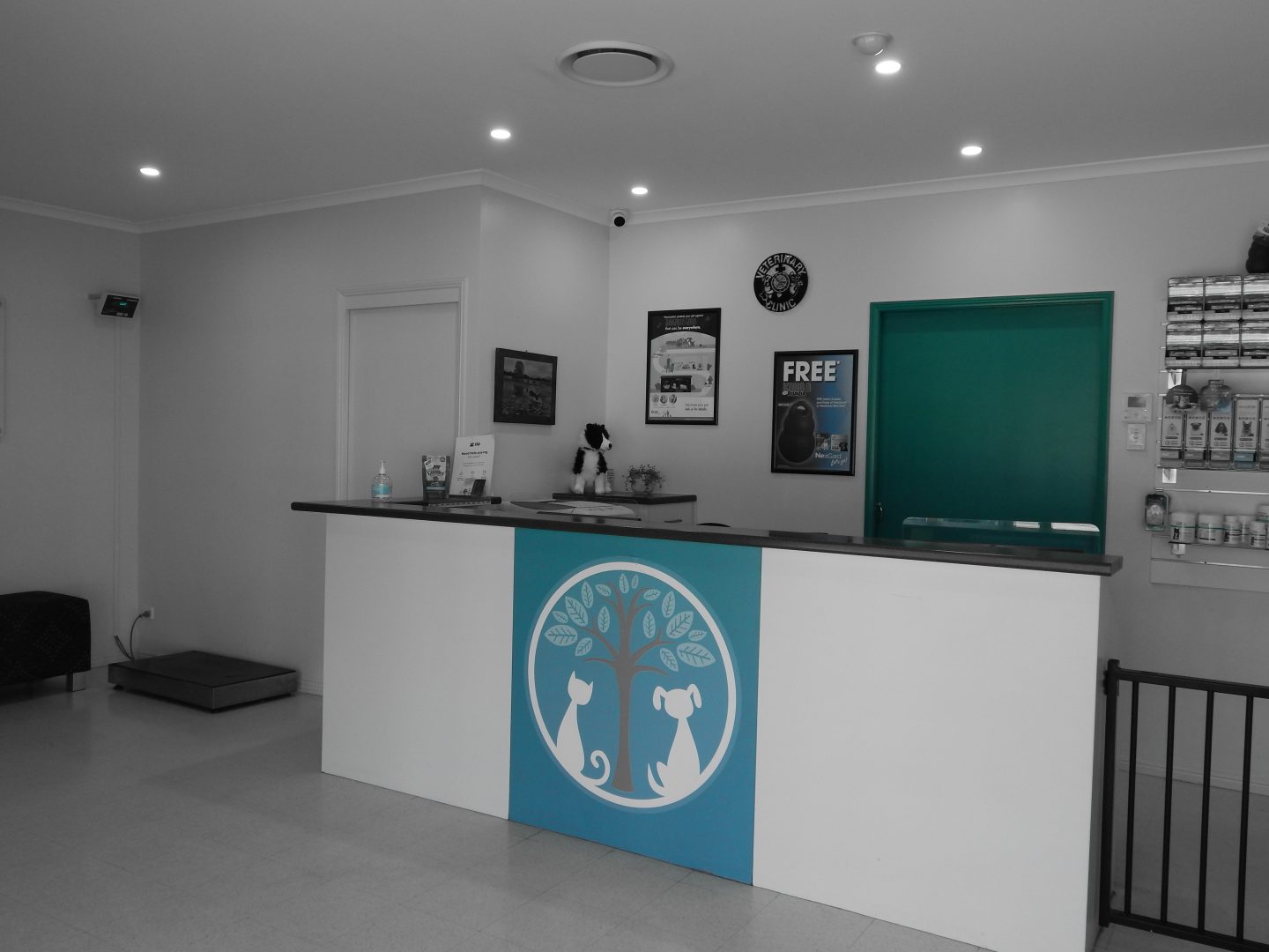 About us – frenchs forest vets